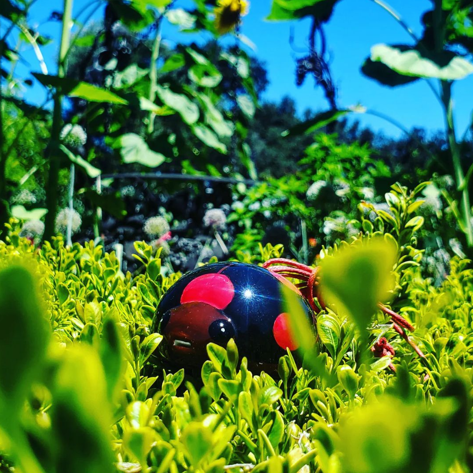 Ladybug - Songbird Ocarina